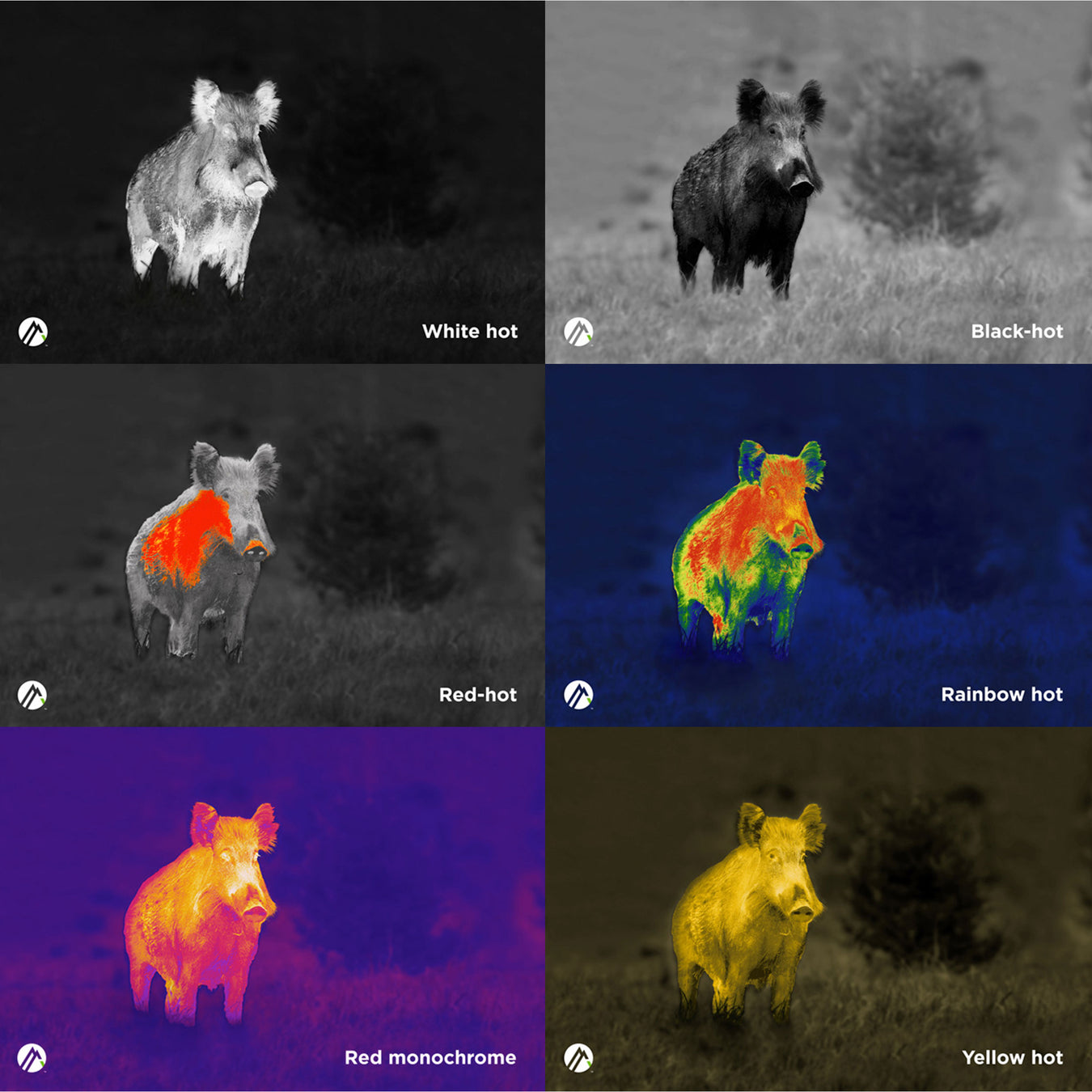 Alpen Apex 25mm Thermal Monocular: High-Resolution Night Vision ...